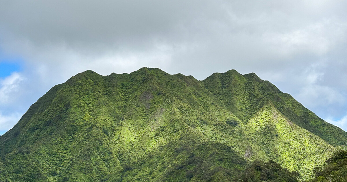 Hiking the Kapalama Trail to Puu Lanihuli - Adventure Tours Hawaii