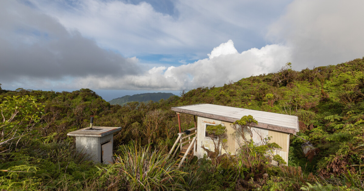 Hiking the Poamoho Trail: Oahu’s Hidden Summit Cabin - Adventure Tours ...