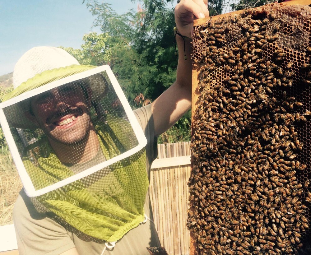 Beekeeping and Honey Tasting Tour - Adventure Tours Hawaii