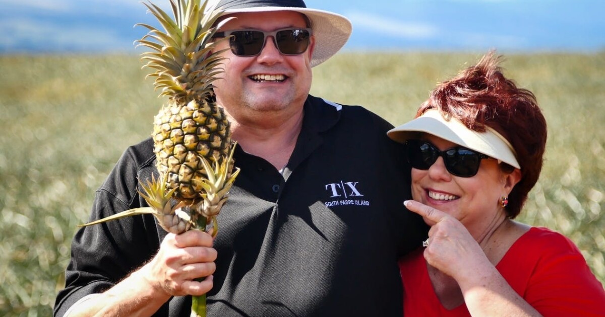Pineapple Plantation Tour - Adventure Tours Hawaii